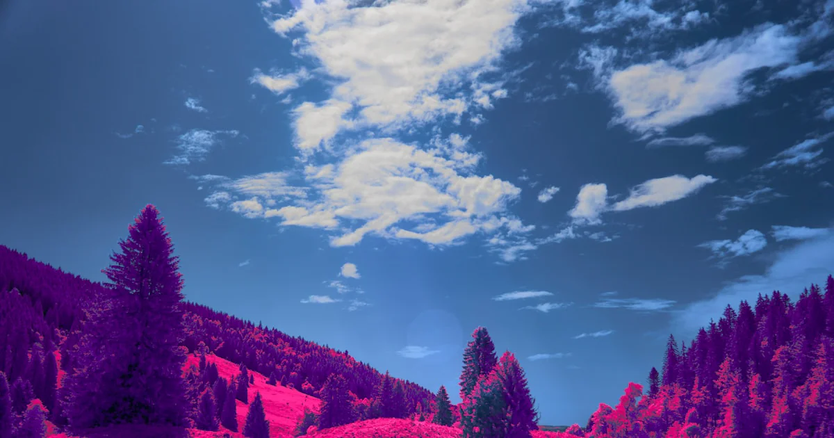 Do Your Dreams Mean Anything? 25 Surprising Insights for 2025 🌙 - Dream ...